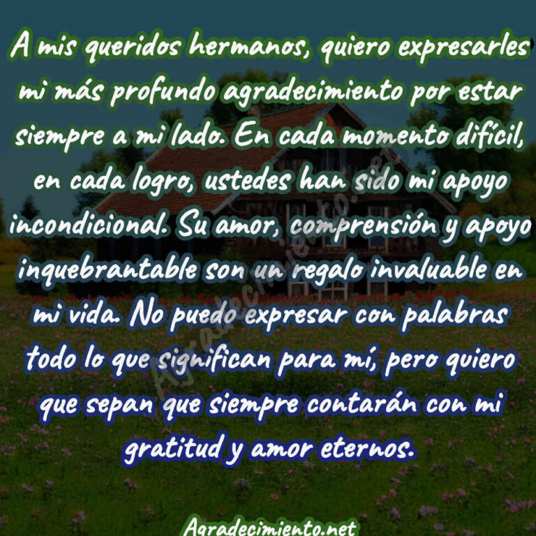 Carta para mi hermana: expresando amor y apoyo incondicional 2026